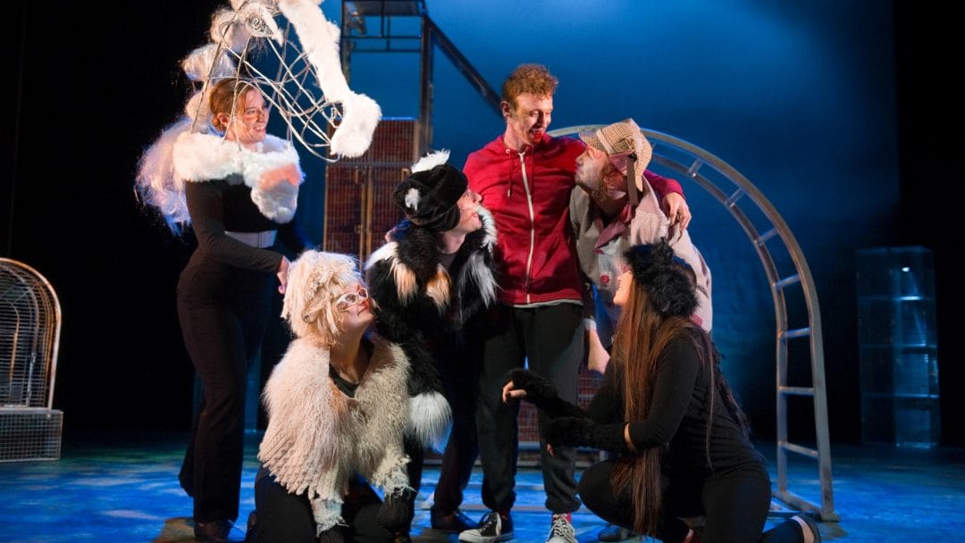 David Baddiel’s AniMalcolm to Tour UK in 2019