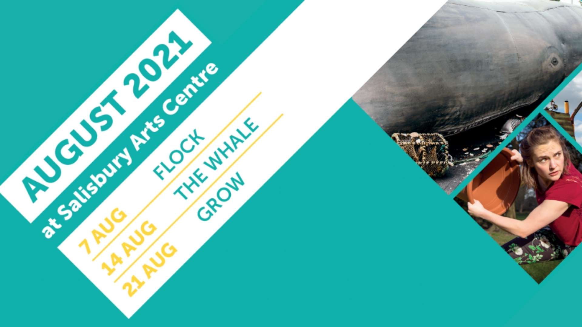 Wiltshire Creative Announce a Summer Of Family Events in Tidworth And at Salisbury Arts Centre ...