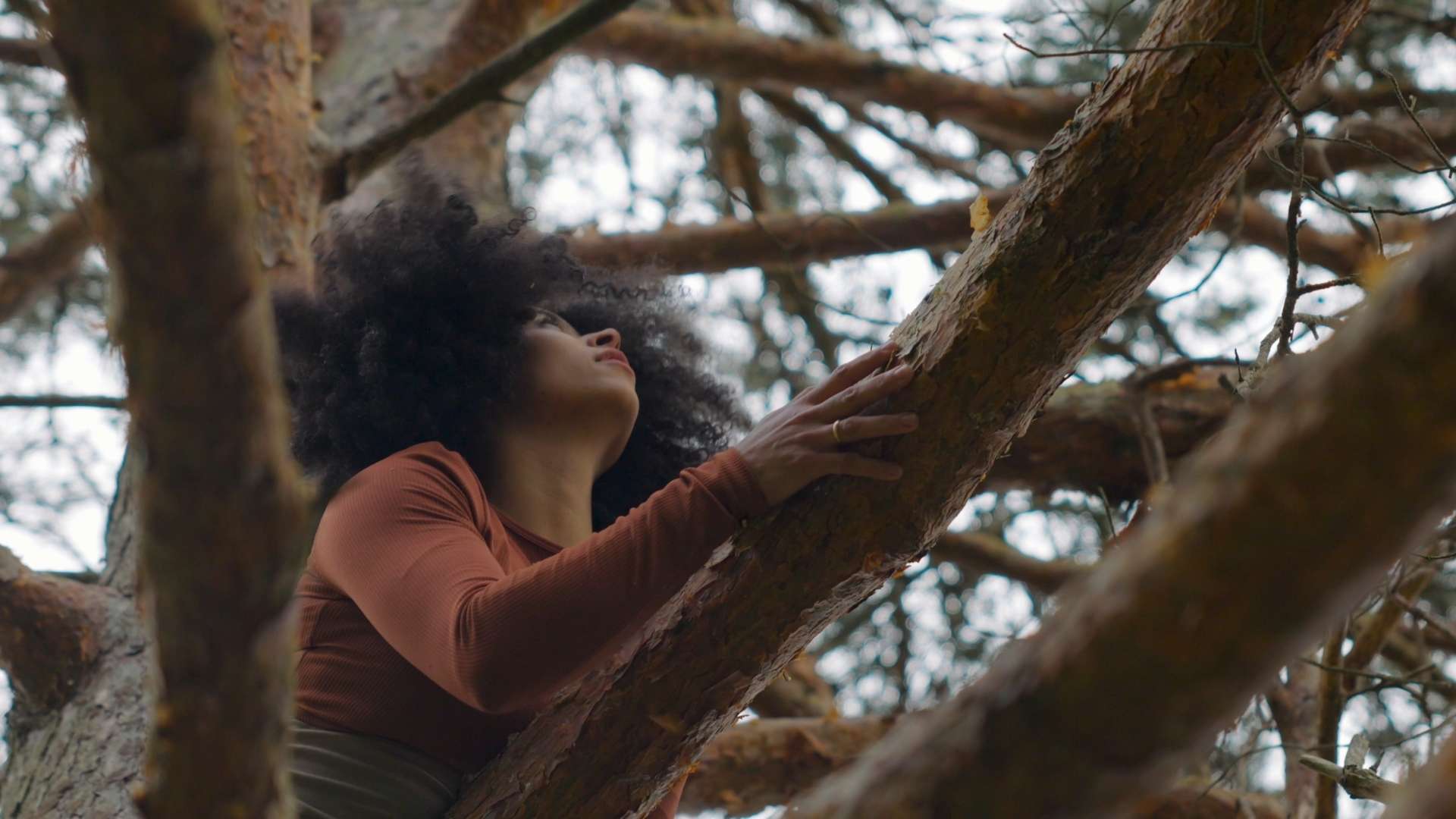 Upswing Release Seasons Digital to Encourage Children to go Outside - Theatre Weekly