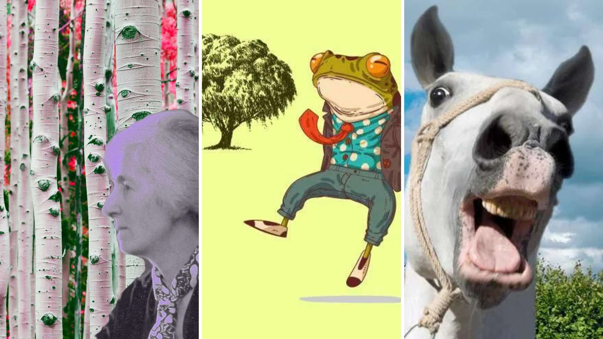 Southwark Playhouse announces first productions in new theatre venue ...