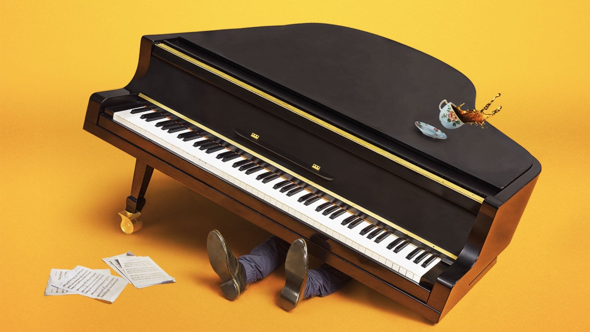 More New Shows at Scarborough’s Stephen Joseph Theatre for 2026 - Theatre Weekly